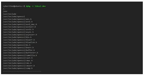 how to install libssl dev package on ubuntu 20 04 lts 2 easy ways