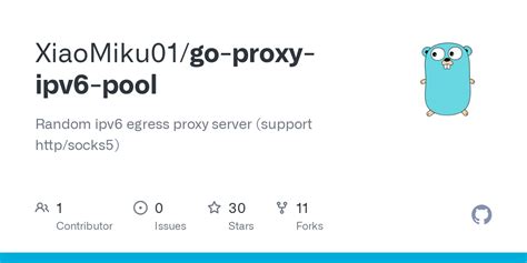 GitHub XiaoMiku01 Go Proxy Ipv6 Pool Random Ipv6 Egress Proxy Server Support Socks5