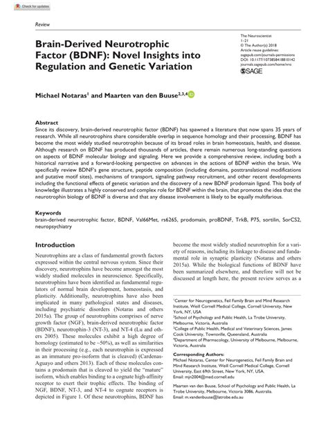 Pdf Brain Derived Neurotrophic Factor Bdnf Novel Insights Into Regulation And Genetic Variation