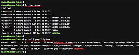 How To Install And Configure Vnc Server On Ubuntu 20 04 Lts Vitux