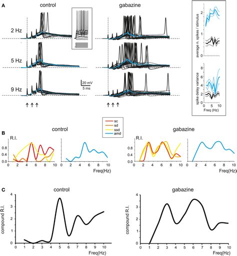 Resonance In Spike Emission From Single Granule Cells A Left Single Download Scientific