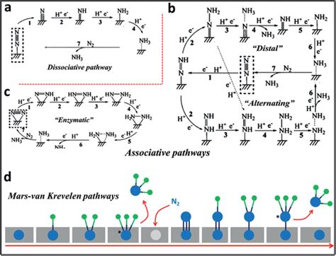 Ac Schematic Diagram Of Dissociative Pathway And Associative