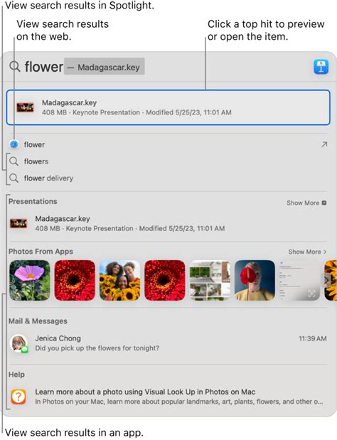 Mastering Spotlight Search In Macos Hixon Group Help Centre