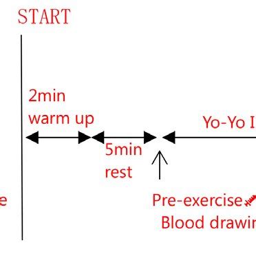 Experiment Protocol Download Scientific Diagram