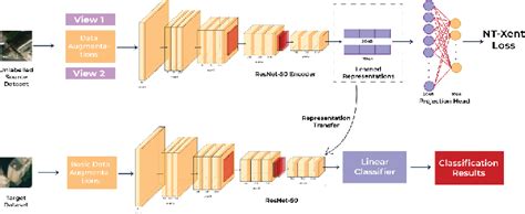 Domain Adaptable Self Supervised Representation Learning On Remote Sensing Satellite Imagery