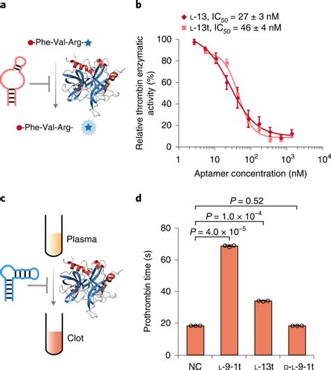 L Dna Aptamer Thrombin Inhibitors A Schematic Overview Of Inhibiting