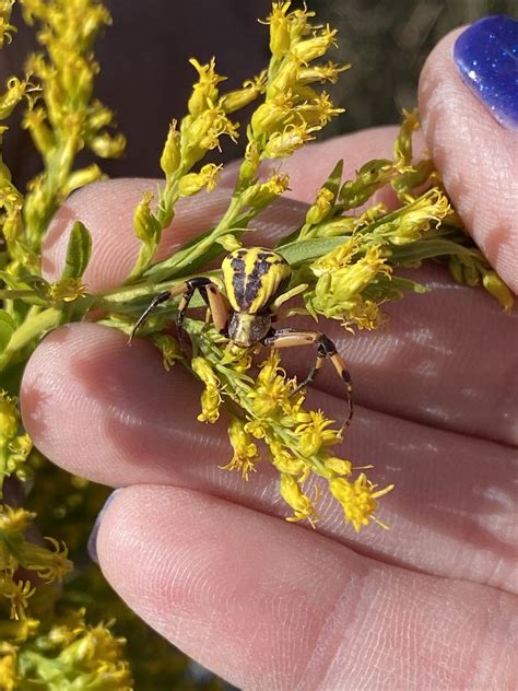IMG Texas Master Naturalist Program Flickr