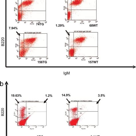 Chromosome 9 Abnormality Identified By A Thick Extra Band