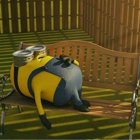 Discover 110 Bob The Minion And Minion Jokes Ideas Minion Humour Minion Movie Minion Quotes