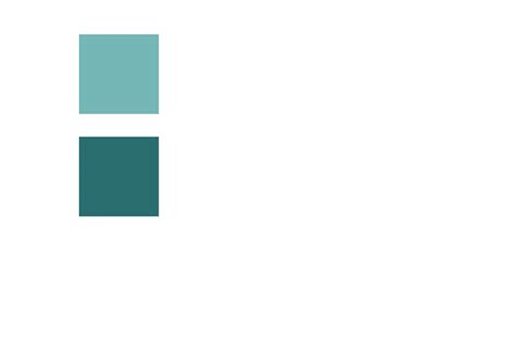 Css Box Model And Layout Learnify
