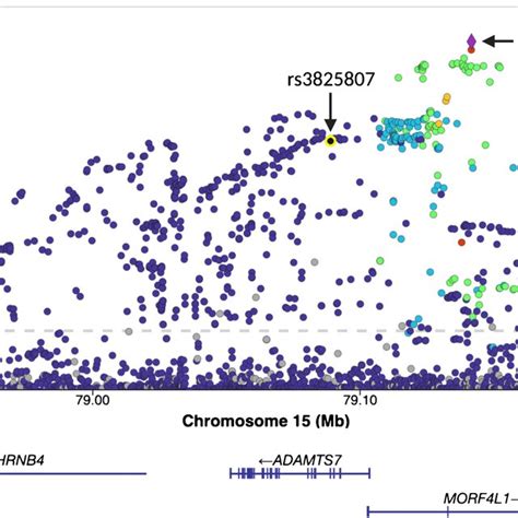 Locuszoom Plot Of The 15q251 Cad Gwas Signal In The Subset Of People