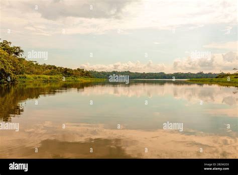 Limoncocha Lagoon Situated On The Napo River In Ecuador One F The Best