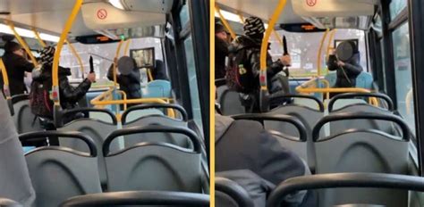 ¡este Vídeo Puede Herir Tu Sensibilidad Dos Chicos Se Pelean Con Un