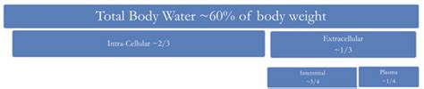 4 Body Fluid Compartments Flashcards Quizlet