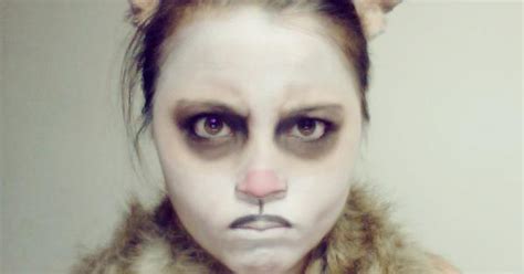 Grumpy Cat Album On Imgur