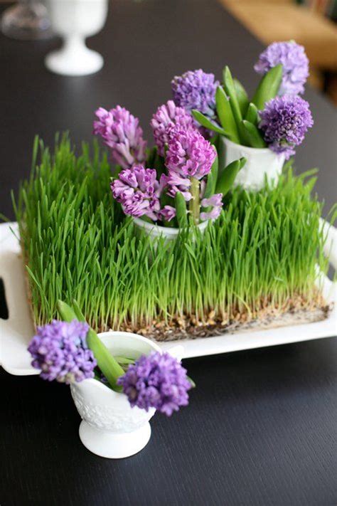 49 Fresh Wheatgrass Home Décor Ideas To Try In Spring Digsdigs