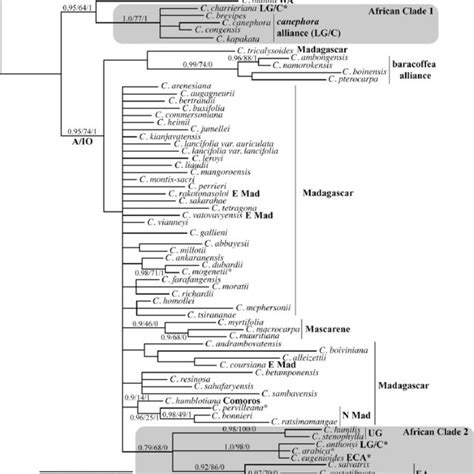 The Bayesian Majority Rule Tree Showing All Compatible Partitions Of