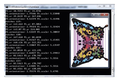 Symmetrical Surf Points Matching Results Of Butterfly Specimens Images Download Scientific