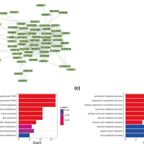 Proteinprotein Interaction Network Ppi And Enrichment Analysis Of 83