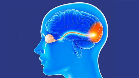 Optic Neuropathy Home