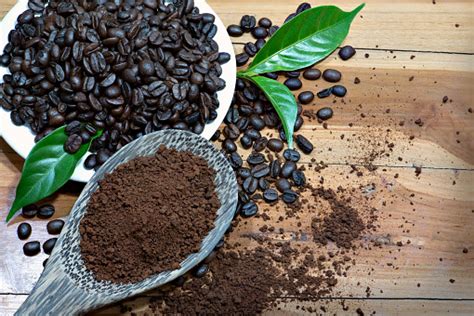 짙은 볶은 커피 원두와 나무 숟가락으로 커피를 갈아 냅니다 0명에 대한 스톡 사진 및 기타 이미지 0명 가루로 빻은 갈색 Istock