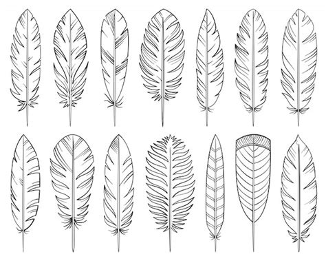 깃털 손으로 그린 세트 라인 문신 퀼 기호 붓글씨 펜 깃털 프리미엄 벡터