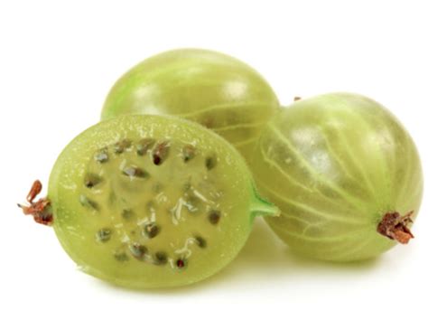 Amla Berry Natures Nurse Chocolatree Organic Oasis