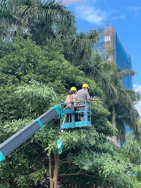 新北市綠意守護者 樹木保護委員會召開 推動樹木遷植與保護計畫 蕃新聞