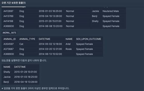 Programmers MySQL 오랜 기간 보호한 동물 1