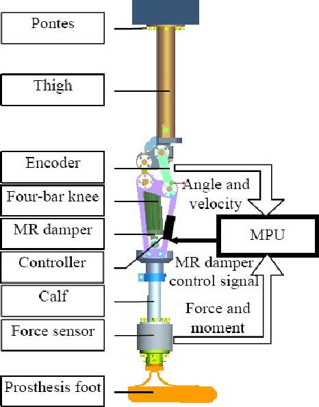 Figure 1 From Knee Joint Optimization Design Of Intelligent Bionic Leg Based On Genetic