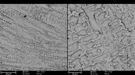Sem Microstructure Of The Representative Metallic Inconel 625