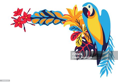 마카우 앵무새와 열대 식물이있는 프레임 이국적인 장식용 새 꽃 Anf 잎 앵무새에 대한 스톡 벡터 아트 및 기타 이미지 앵무새 벡터 마코앵무새 Istock