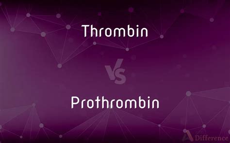 Thrombin Vs Prothrombin — Whats The Difference