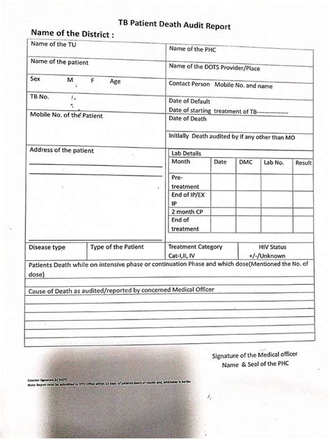 Death Audit Report Format Pdf