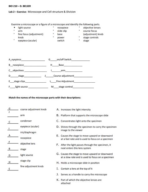 2 Bio 210 Lab 2 Exercise Bio 210 D Belser Lab 2 Exercise