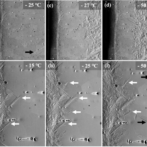 In Situ Sem Cooling A D And Heating E Observations Of The Download Scientific Diagram