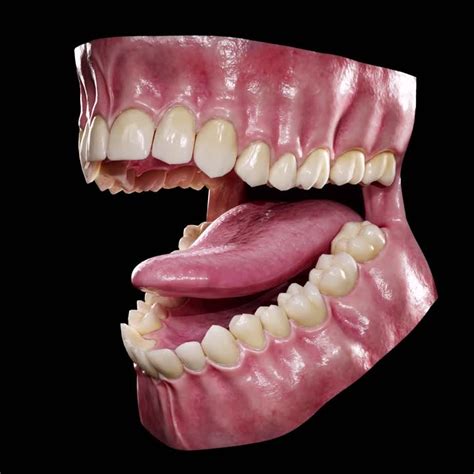 80 Level On Linkedin 3d 3dart 3dmodeling Maya3d Zbrush