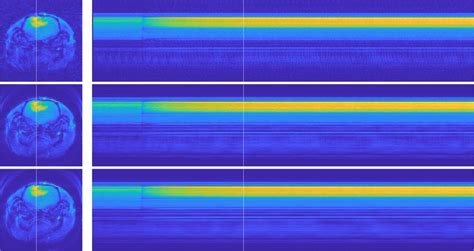 Reconstructions From Experimental Data Left Column Image At A Given