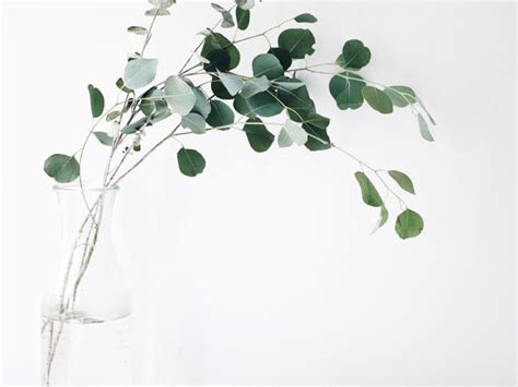 Hartman Sharkey Funeral Home Mccomb Mississippi Ever Loved