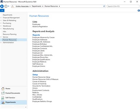 Microsoft Dynamics NAV Services Customization Support GraVoc