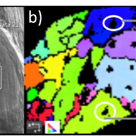 A Sem Micrograph Of Particle After Indentation Showing Mapped Region Download Scientific