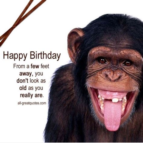 Pin By Tiffany Hembree On Birthday Memes Funny Birthday Cards Funny