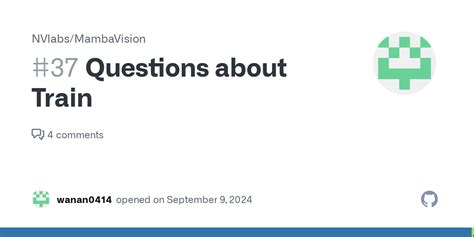Questions About Train Issue Nvlabs Mambavision Github