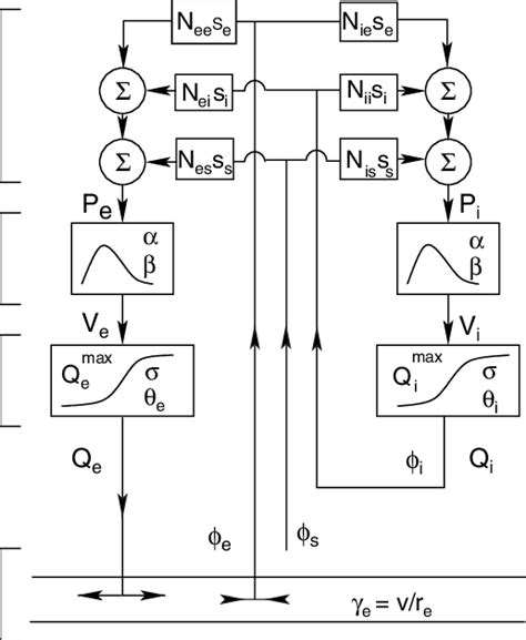 Mathematical Summary Of The Biophysical Model This Schematic Shows The