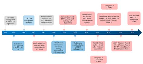 Targeted Protein Degradation Tpd Analysis Service Mtoz Biolabs