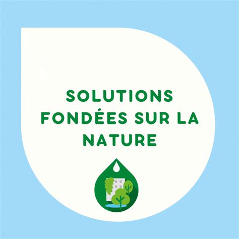 La Feve épuration Végétalisée Sera Présente Sur Lespace Des Solutions Fondées Sur La Nature