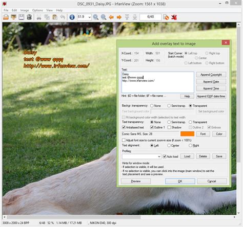 Irfanview Screenshots