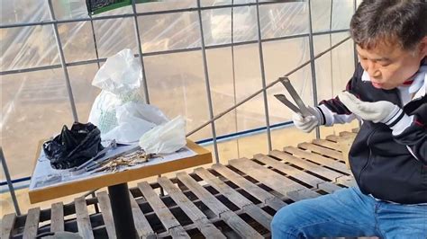 양미리 구이 Youtube