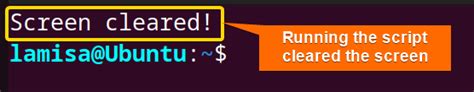 How To Clear Screen Using Bash Script Effective Methods LinuxSimply
