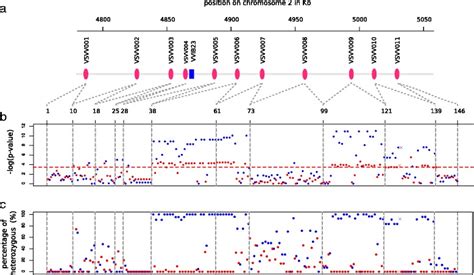 Polymorphisms In The Sex Region A Amplicon Position Along The Sex Download Scientific Diagram